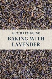 Ultimate Guide to Baking with Lavender: Everything You Need to Know ...