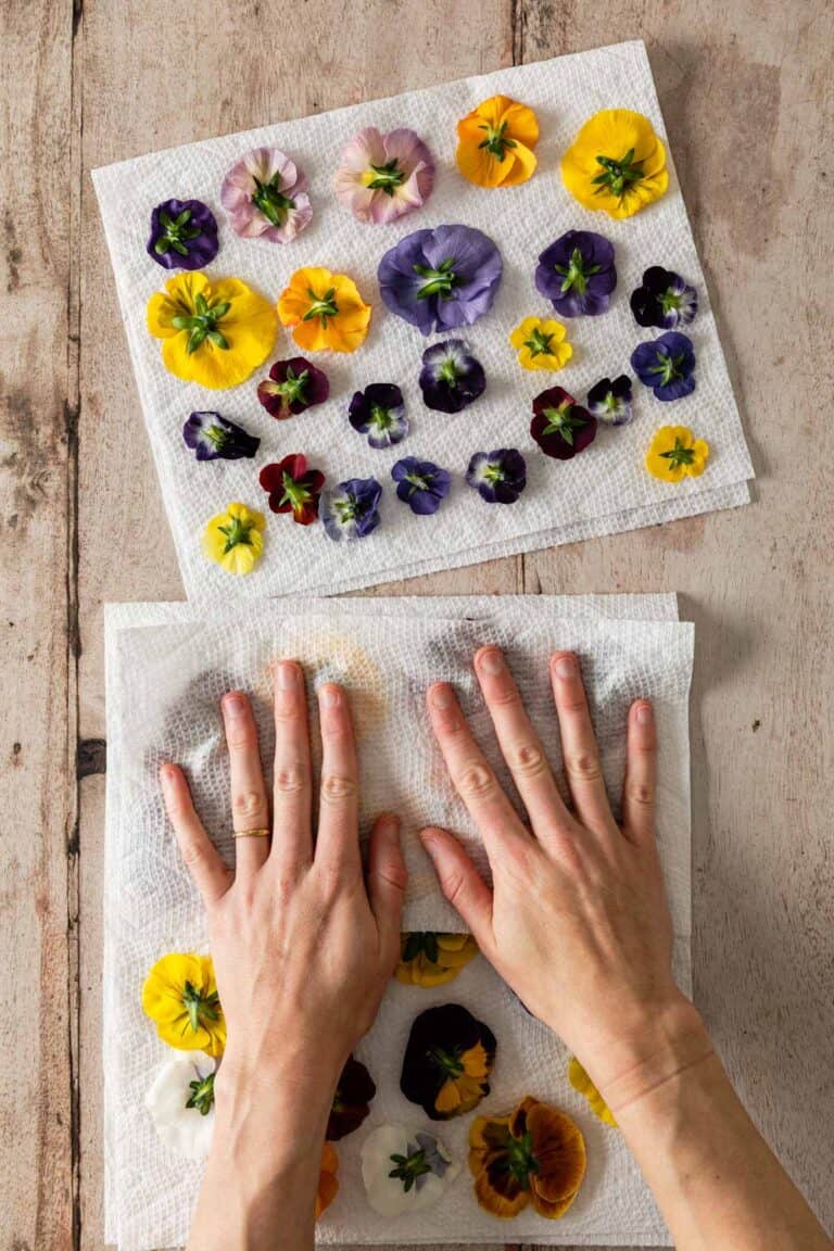 Pressed Flower Cookies (Sugar Cookies with Edible Flowers) - Belle ...